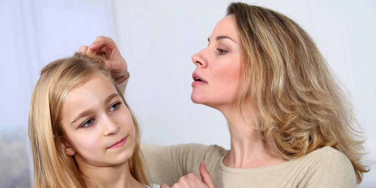 Läuse: die Parasiten im Haar erkennen und bekämpfen
