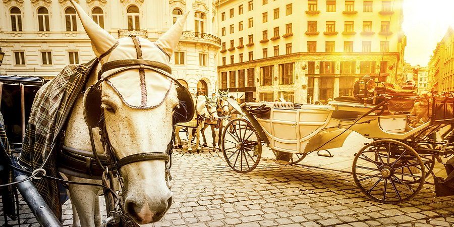 Typisch Wien: 5 Dinge, die man über Wien wissen muss